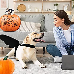 Chichome Dog Halloween Costumes Bat Wings Halloween Costumes Pet Bat Costume for Dogs Pet Cosplay Halloween Funny Cool Costume Halloween Outfits for Medium Large Dog, grey