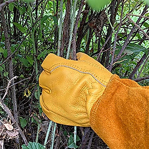Heavy Duty Long Leather Garden Gloves Thorn and Cut Proof Garden Work Gloves (Medium, Yellow)
