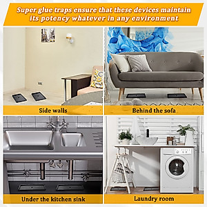 Qualirey 24 Pack Glue Traps for Rats and Snakes, Larger and Heavy Duty Baited Sticky Traps with Non Toxic Glue, Exterminator Plastic Mouse Indoor Trap, Ready to Use, Safe to Children and Pets (Black)