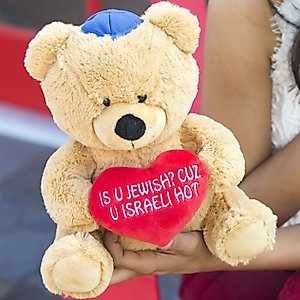 Hollabears 10" is U Jewish? Cuz U Israeli Hot Teddy Bear Hanukkah Plush