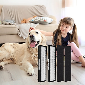 Drolma Size E H13 HEPA Replacement Filter, Compatible with Idylis Air Purifier FIL-GG-125, IAP-GG-125, Fit GermGuardian FLT5000 Series AC5000 Filter C Air Purifiers, 2 HEPA&2 Carbon Pre-filters