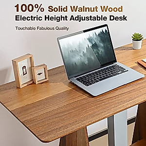 HOUSEELF Adjustable Standing Desk, 100% Solid Wood Adjustable Height Desk w/ 29"-48" Height Controller, Unique Look, Sturdy Legs, Silent & Smooth Lift, Sit Stand Up Desk for Home Office Study, Walnut