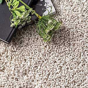 nuLOOM Clare Solid Shag Area Rug, 5x8, White