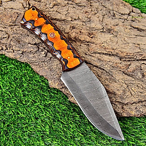 Handmade Damascus Hunting Knife with Beautiful Pakkawood Handle for Survival and Camping 9 Inch Fixed Blade Damascus Steel Knife with Sheath for Men