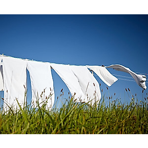 Fresh & Clean Collection of Premium Lone Star Candles & More's Hand Poured Soy Wax Melts, Strongly Scented Wax Cubes, USA Made in Texas (Summer Linen, 3-Pack)