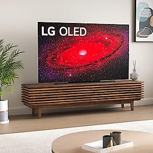 LG OLED65CXPUA 65 inch CX 4K Smart OLED TV with AI ThinQ Bundle with 1 YR CPS Enhanced Protection Pack