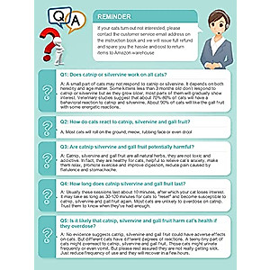 Potaroma 12Pcs Natural Silvervine Sticks Catnip Sticks, Catmint Silvervine Blend, Catnip Toys for Kittens Teeth Cleaning, Matatabi Dental Care Cat Treat Toys, Edible Kitty Toys for Cats Lick