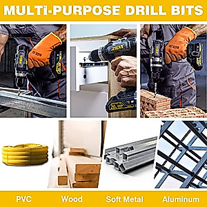 RIDA 21Pcs Steel Drill Bits High Speed Steel Jobber Length Twist Drill Bit Set 1/4" for Hardened Metal, Stainless Steel, Cast Iron, Plastic and Wood