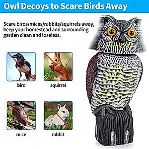 Owl Decoy to Scare Birds Squirrels,2023 Upgraded Plastic Owl Decoy to Scare Birds Away,Motion Activated Owl Decoy with 360 Rotating Head,Garden Owls to Frighten Birds for Outdoor Garden Yard
