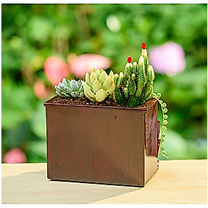 JIATAY Wooden Pots, Mini Flowerpot, Retro Resin Succulent Planter Bonsai Pot Desk Holder Mini Ornament (Piano Brown)
