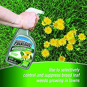 Pulverize PW-C-128 Lawns Concentrate Weed Killer, Brown Liquid