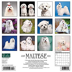 Just Maltese 2021 Wall Calendar (Dog Breed Calendar)
