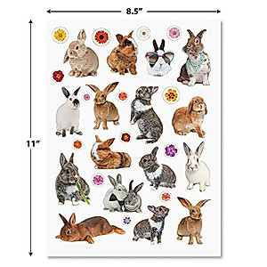 CURRENT Bunny and Flowers Sticker Set - 60 Stickers, Two 8-1/2" x 11" Sheets, Easter Basket Stuffers, Holiday Arts and Crafts, Fun for Kids, Spring Themed Gifts, Party Favors