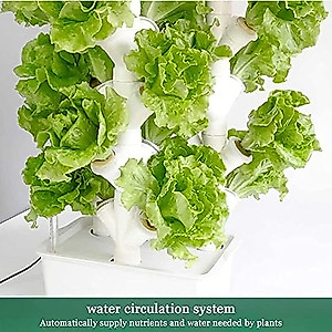 Tower Planting System 16/24/32 Holes Aquaponics Growing System Fruits and Vegetables Aeroponics Kit with Moisturizing Pump, Adapter, Mesh Pots(Size:4columns)