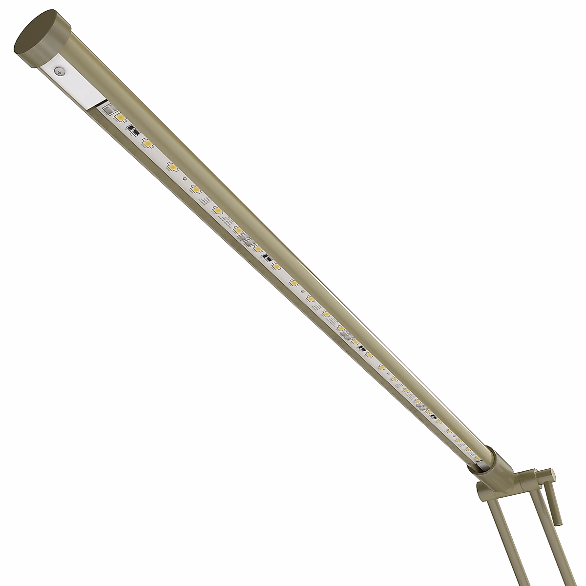 Cocoweb High Powered, dimmable, LED Floor Lamp - Fled-GPS (Antique Brass)