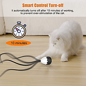 Petcronies Cat Wand Toy, Automatic Silicone Tail Teaser Toy 2 in 1, Electronic Interactive Cat Toy for Indoor Cats, Rechargeable Exercise Toy for Kitten-Black