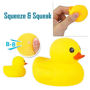 Novelty Place Rubber Duck Family Pack Ducky Baby Bath Toy for Kids (Pack of 6)