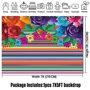 Fabric Mexican Fiesta Color Stripes Paper Flower Photo Background Cinco De Mayo Party Wedding Decor Photography Backdrops Baby Shower Studio Shoot Props