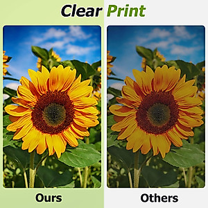 601H (60F1H00) Toner Cartridge Compatible with lexmark Printer MX310dn, MX410de, MX510de, MX511de, MX511dhe, MX511dte, MX610de, MX611de, MX611dhe and MX611dte Toner Cartridge (Black,10,000 Pages)