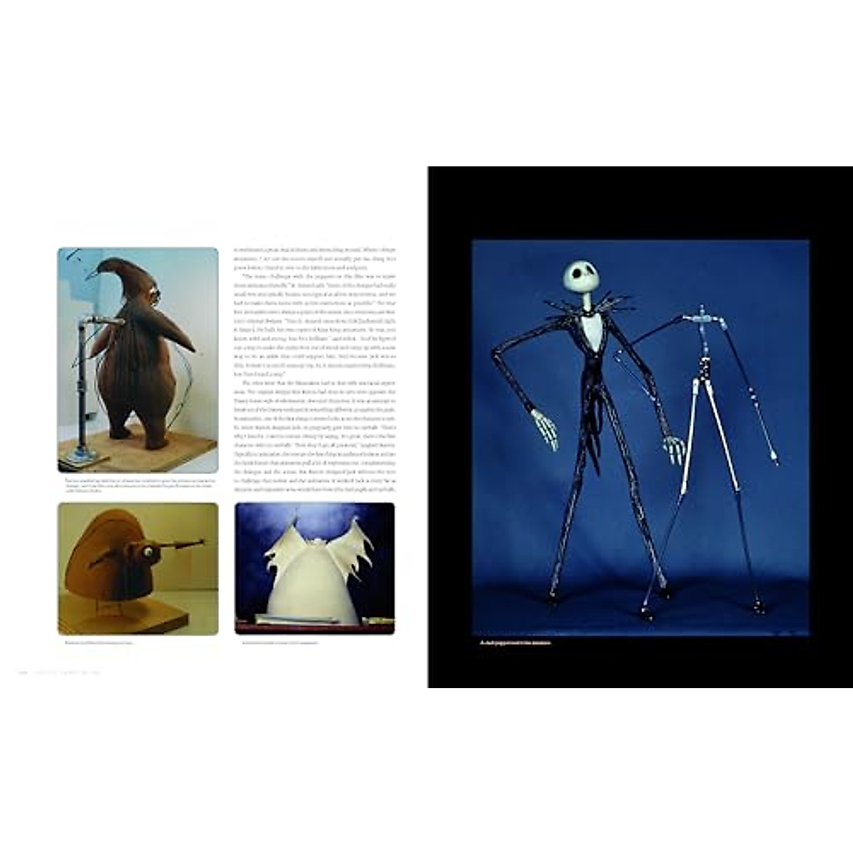 Tim Burton's The Nightmare Before Christmas Visual Companion (Commemorating 30 Y ears) (Disney Editions Deluxe)