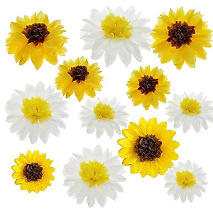 12Pcs Sunflower Daisy Tissue Paper Pom Poms Flower 12" 8" for Yellow Brown White Themed Birthday Party Sunshine Baby Shower Bridal Country Wedding Party iwlorys