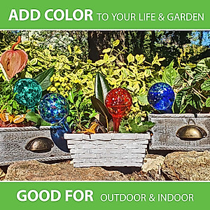 Large Plant Watering Globes, Outdoor Indoor Watering Devices, Aqua Globes, Glass Self Watering Globes, Water Globe, Water Plant Stakes, Spikes, Water Bulbs, Water Balls, Watering Bulb