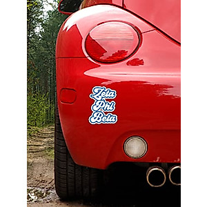 Sorority Shop Zeta Phi Beta Car Magnet - Set of 2 Removable No Residue All Weather Magnets for Sorority