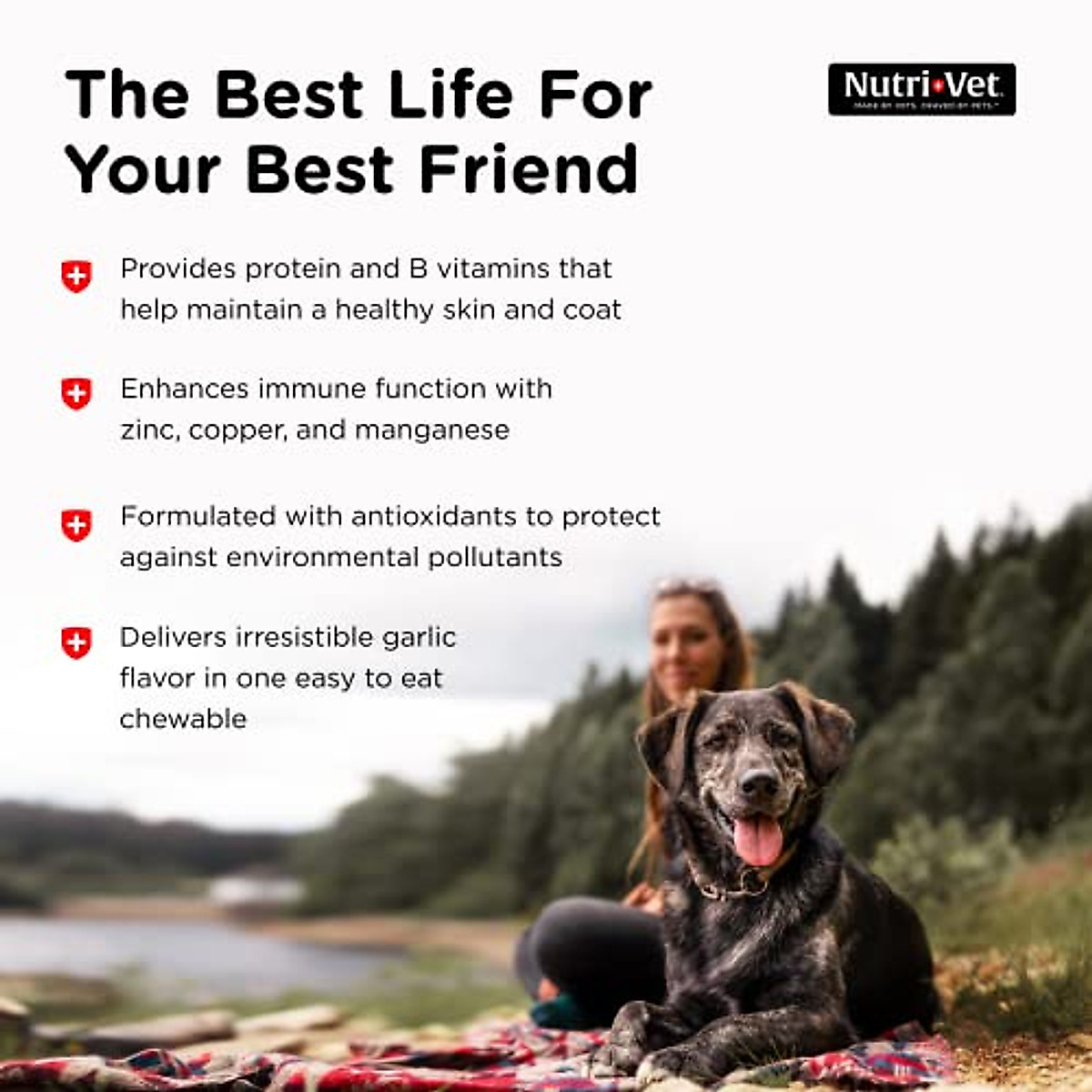 Nutri-Vet Brewer's Yeast and Garlic Chewable Tablets for Dogs - Veterinarian Formulated to Support the Immune System and a Healthy Skin & Coat - 500 Chewable Tablets