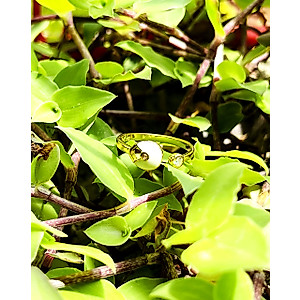 ZENN VERSE Brass Double Stone Finger Ring Eye-Catchy Ornament Beautiful Vintage Gem Crystal Ring Brings Charm Good looking Adjustable Finger Ring