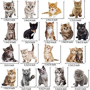 36pcs Baby Cat Cupcake Toppers Cute Cat Cupcake Toppers Kitten Pet Birthday Party Decoration for Kitty Cat Theme Birthday Party Baby Shower Supplies