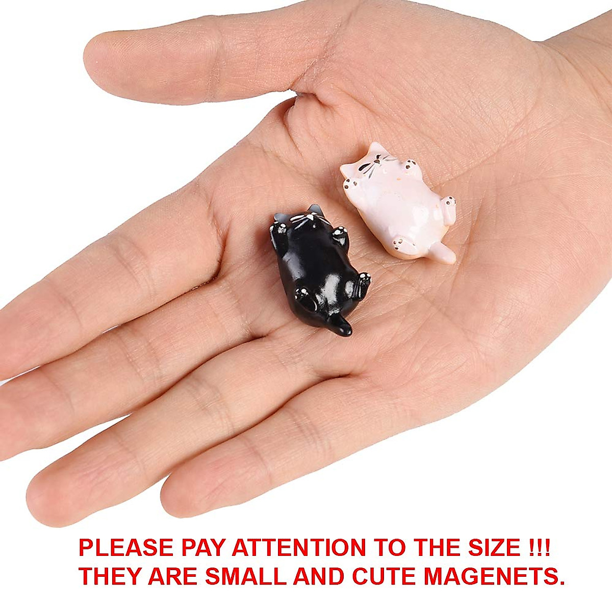 CHICHIC 6 Pack Fun Cat Refrigerator Magnets Office Magnet, Kitchen Decor Fridge Cat Ornament, Perfect for Whiteboard, Refrigerator, Map, Notes, Calendar, Gift for Lady Cats Lovers Novelty Butt