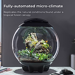 biOrb AIR 60 LED Terrarium - 16 gallon, white (46147)