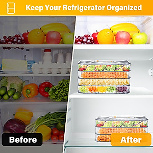 Deli Meat Container for Fridge, 4 Layer Meat and Cheese Container for Fridge Bacon Keeper for Refrigerator Organizers and Storage Airtight Food Storage Boxes with Lids Stackable Cold Cut Container