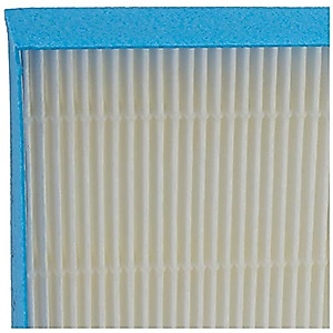 Winix 115122 PlasmaWave Series Long Life Washable Filter, Size 21, carbon pre-filters(4),White