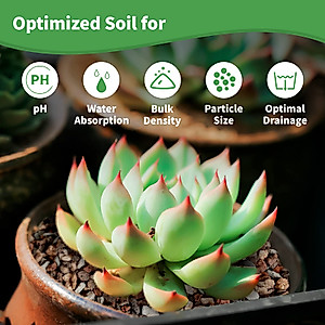 Jowlawn Mix Horticultural Lava Rock Pebbles - 2.7lb Pumice Potting Soil Amendment for Succulents Cactus Plants, Gritty Rocks Decorative Gravel Plant Drainage for Terrarium Potted Plants