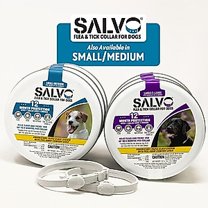 SALVO Flea and Tick Collar for Dogs - Pack of 2 for 12 Months of Protection - Flea and Tick Prevention for Dogs (Large)