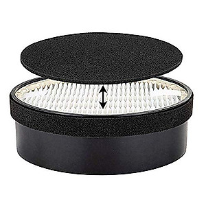 LV-H132 True HEPA Replacement Air Filter Compatible with Levoit Air Purifier LV-H132 (2 Pack)