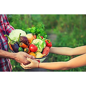 Vicky's Vegetable Garden Seed Kit | Grow 14 Different Types of Vegetables - Easy and Fun