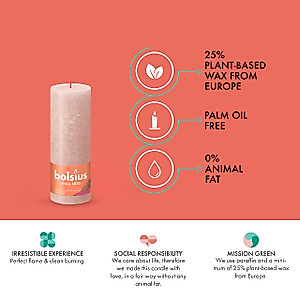 BOLSIUS 4 Pack Misty Pink Rustic Pillar Candles - 2.75 X 7.5 Inches - Premium European Quality - includes Natural Plant-Based Wax - Unscented Dripless Smokeless 85 Hour Party and Wedding Candles