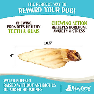Raw Paws Water Buffalo Ears for Dogs (5 Pack) - Packed in USA - Alternative for Pig Ears for Dogs or Cow Ears - Dog Treat Animal Ears - Rawhide Free Dog Chews Long Lasting Chews for Aggressive Chewers