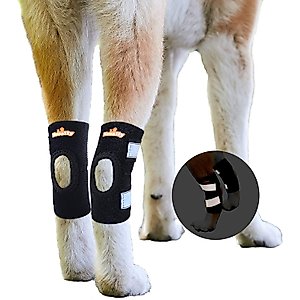 NeoAlly Cat and Dog Ankle Brace Pair Canine Rear Leg Hock Support with Safety Reflective Straps for Hind Leg Wounds Heal and Injuries and Sprains from Arthritis (S Pair)