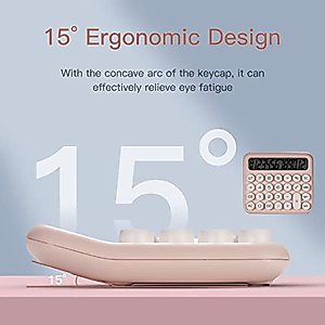 GUDTEKE Mechanical Switch Calculator, Pink Calculator Cute 12 Digit Large LCD Display Big Button Calculator Clear Standard for Daily and Basic Office,Automatic Sleep,with Battery