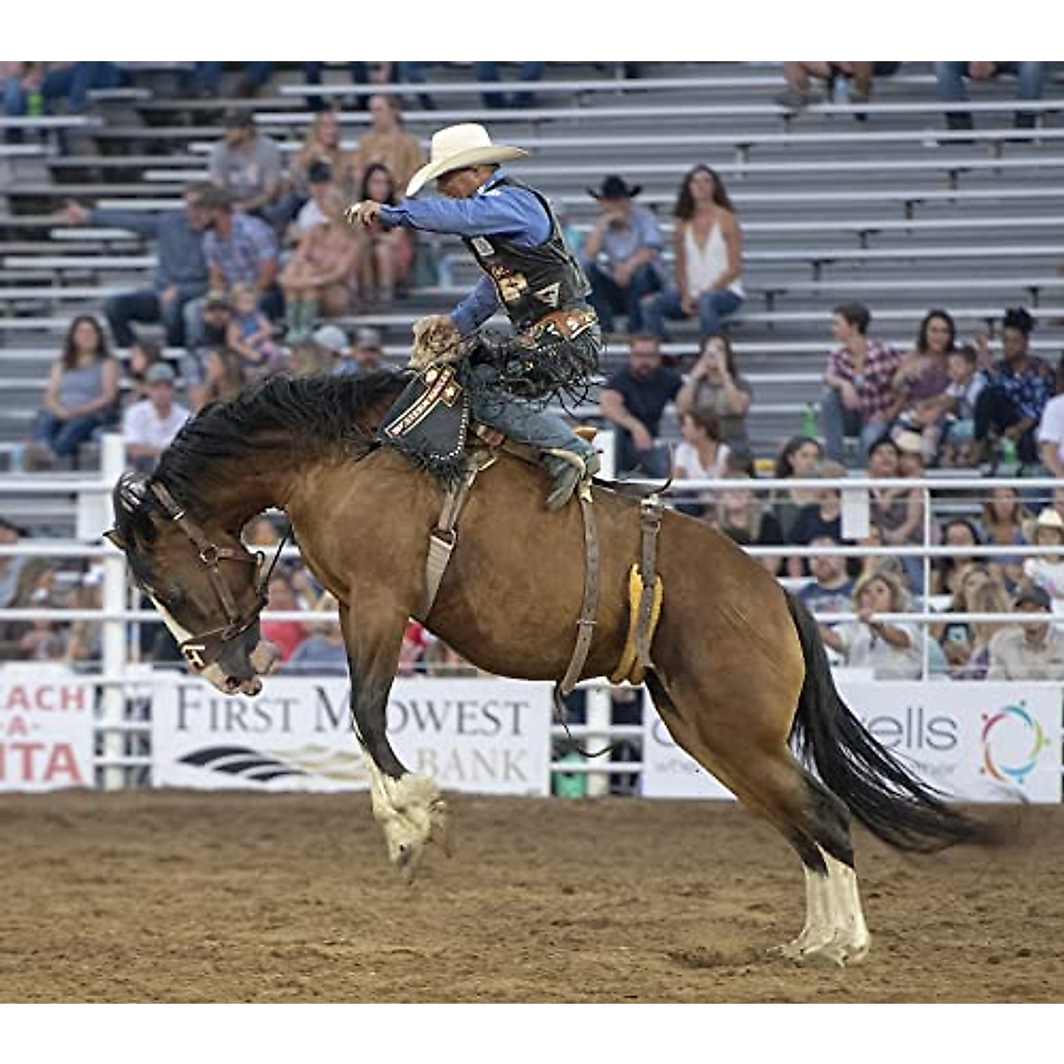 DOUBLE ACTION (Cooling and Warming Effect) Liniment Gel for Sore Muscles and Joints made with Camphor and Menthol for Horses. Effective Post Workout Recovery and Pre-Workout Leg and Spinal Care Rub