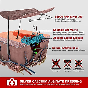 EVERLIT AG Silver Calcium Alginate Wound Dressing | Absorbent Non-Stick Sterile Dressing Pad | Gentle Hemostatic Gauze with Natural Gelling Fiber for Wound Care (4" x 4" | Pack of 10)