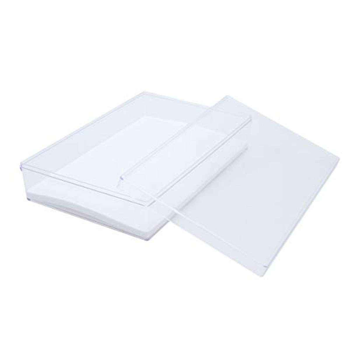 POPETPOP Insect Display Case- Transparent Display Box with EVA Foam Board, Insect Storage Box for Specimen Display & Collectibles