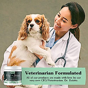 Fera Pets Hip + Joint Dog Supplement, Joint Support for Dogs with Glucosamine Chondroitin and MSM, Joint Care and Health Support Chewy Dog Treats, 90 Soft Chews