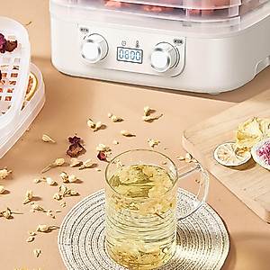 Food Freeze Dryer Machine for Home, Dryer Machine for Candy and Snacks, Food Dehydrator Machine with Digital Adjustable Timer and Temperature Control, for Beef Fruits Meat Vegetables (Blue)