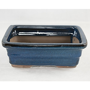 8" Rectangular Dark Blue Bonsai / Succulent Pot + Tray + Rock + Mesh Combo