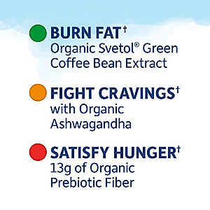 High Protein Bars for Weight Loss - Garden of Life Organic Fit Bar - Peanut Butter Chocolate (12 per carton) - Burn Fat, Satisfy Hunger and Fight Cravings, Low Sugar Plant Protein Bar with Fiber