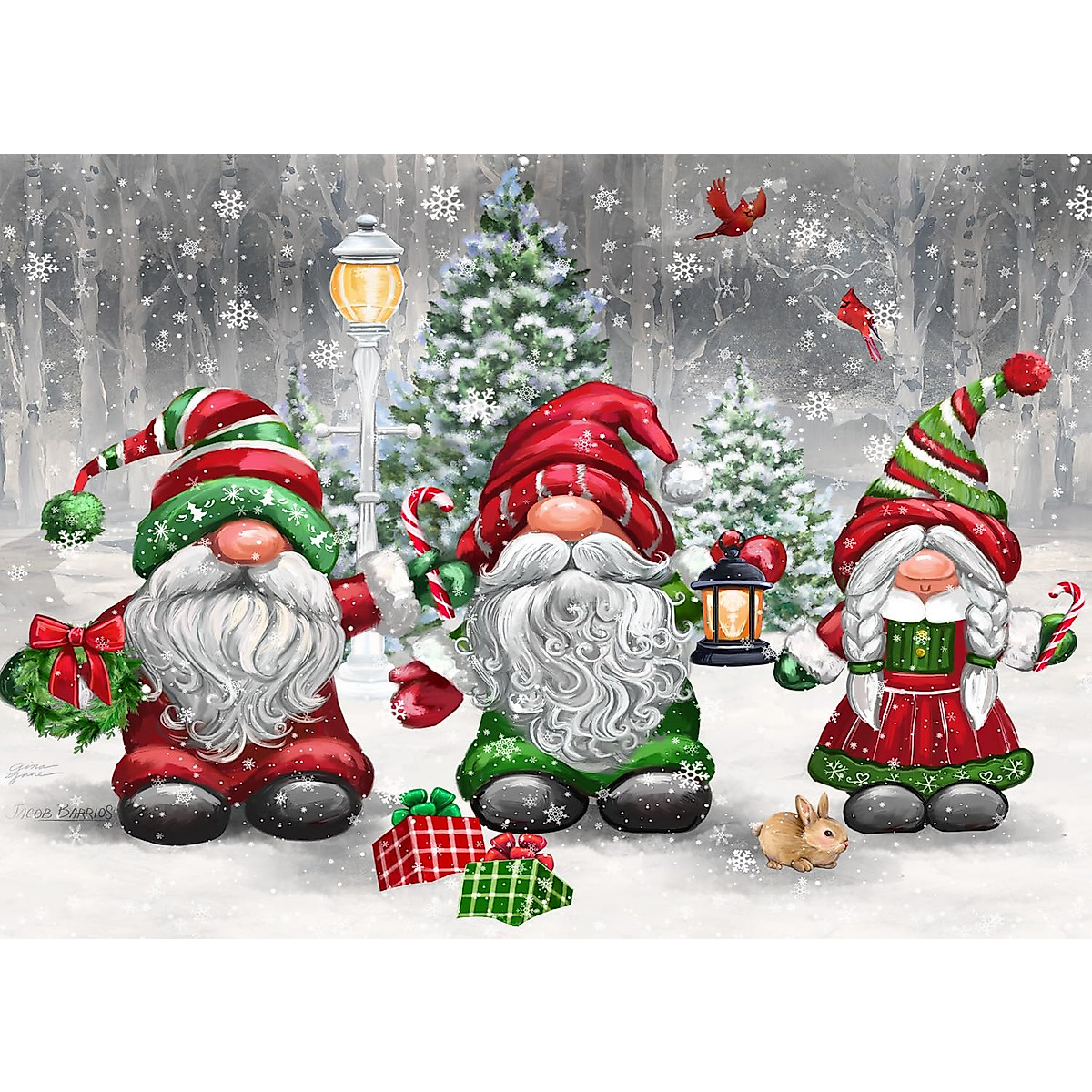 Vermont Christmas Company Box of 'Christmas Gnomes' Christmas Cards - 15 Cards & 16 Foil Lined Envelopes - Packed in Attractive Red Box - Cards measure 4 1/2" x 6 1/4" Folded